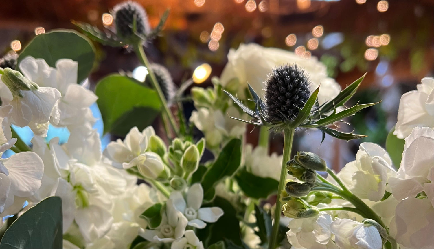 Eden Florist and Garden Center – Eden Florist and Garden Shop
